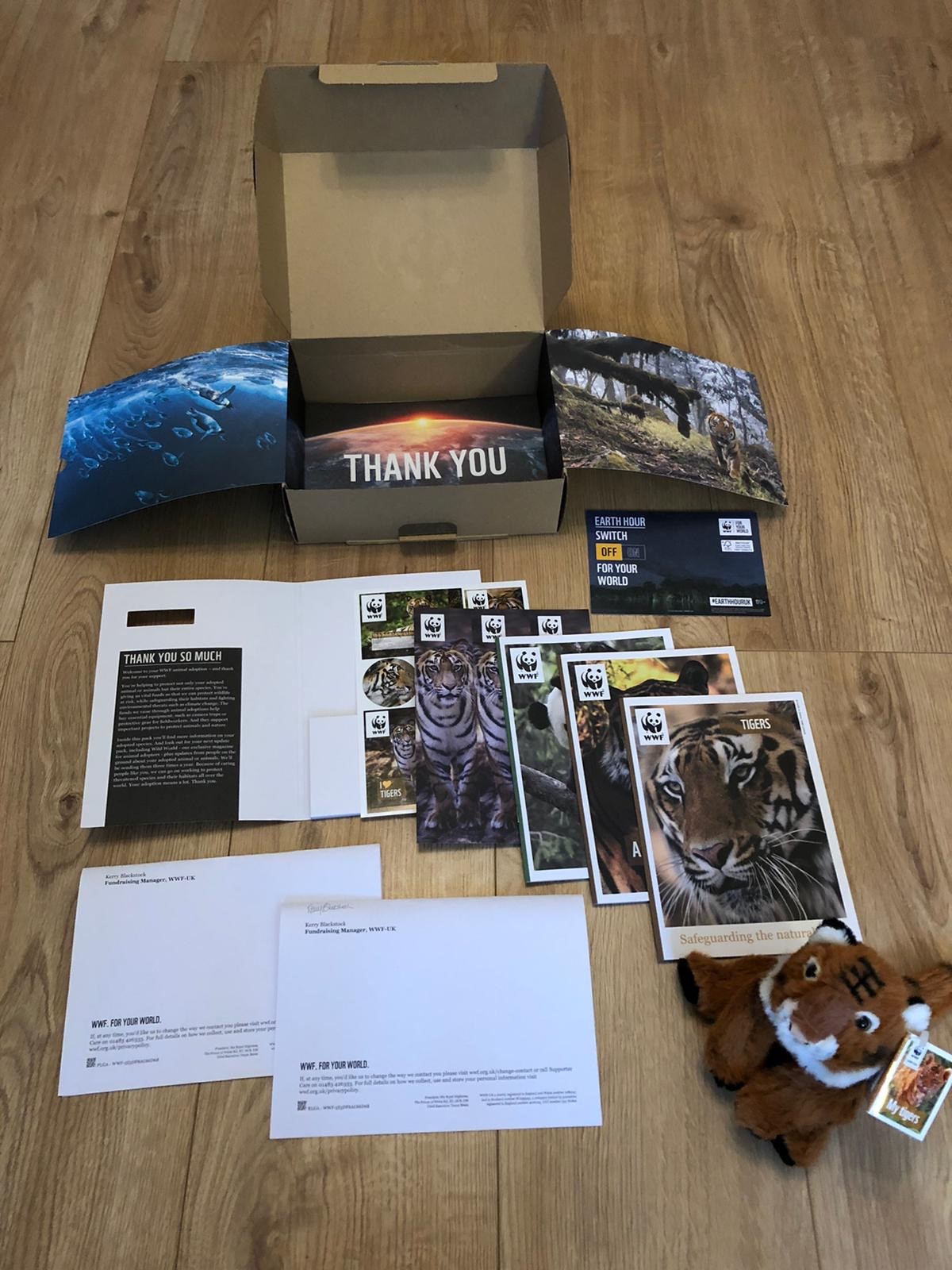 How to make a great welcome pack - The Dragonfly Agency